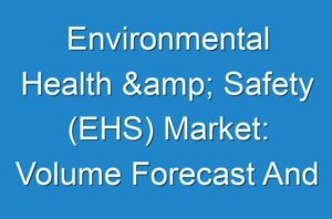Environmental Health & Safety (EHS) Market: Volume Forecast And Value Chain Analysis 2019 - 2027 ...