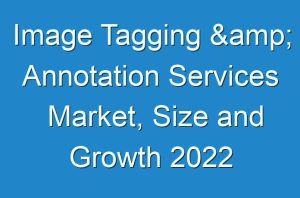 Image Tagging & Annotation Services Market, Size and Growth 2024 To ...